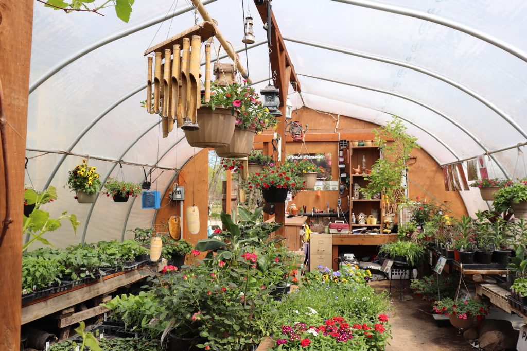 More Than Just a Greenhouse – Sunrise Corner